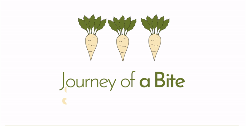 Journey of a Bite: Sugar Beets. When people think about the origin of ...