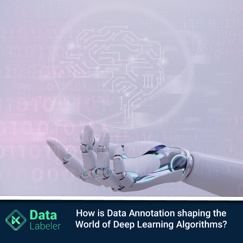 How is Data Annotation shaping the World of Deep Learning Algorithms ...