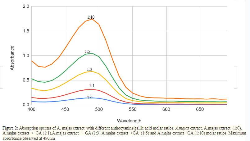 Enhancing Anthocyanin Stability Through Copigmentation: A Summer ...