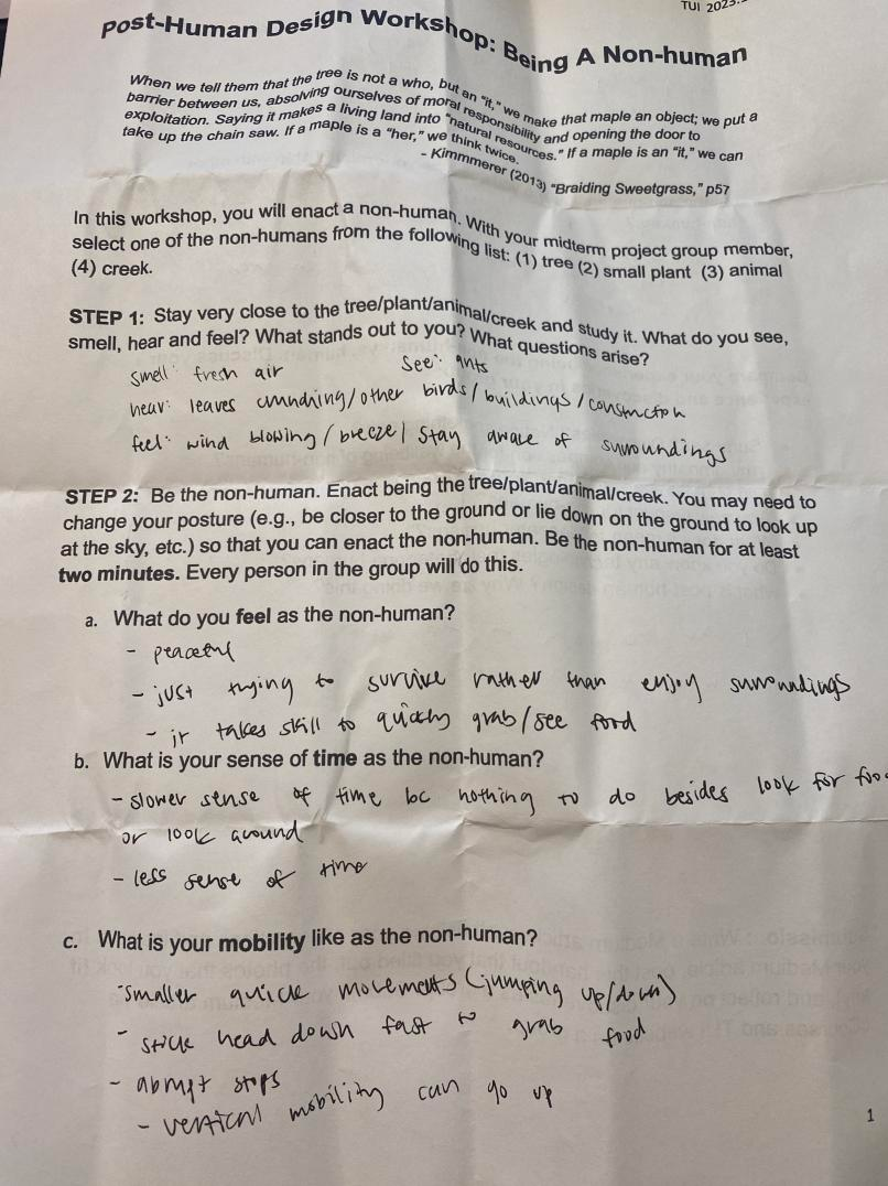 Exercise: Post-Human Design Workshop | by Anita Guo | Medium