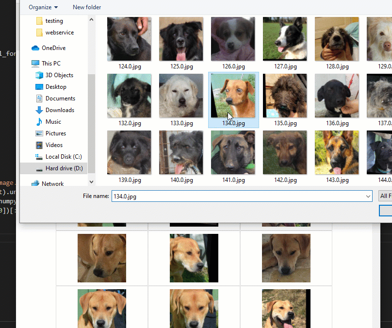 Building a dog search engine with FaceNet | by Noufal Samsudin ...