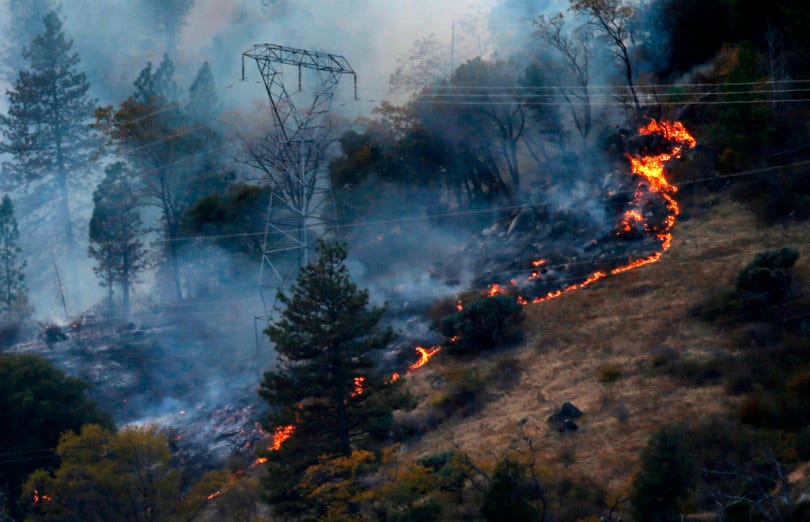 Rebuilding a Community — the Paradise Camp Fire | by Gayle Kimball | Medium