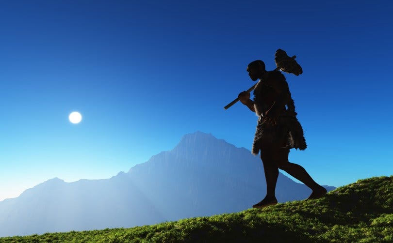 Neanderthal DNA in Humans: Weird Parts of the Genome — Hidden Gene | by ...