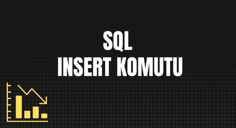 SQL Insert Into Kullanımı - Ilayda - Medium