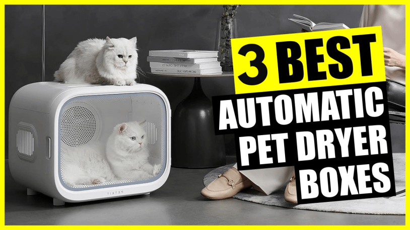 Choosing the Best Pet Drying Boxes: A Comprehensive Guide | by ...