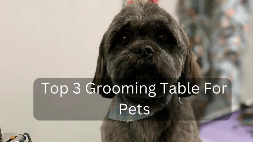 Top 3 Grooming Tables for Pets: Elevating Your Pet Care Experience | by ...