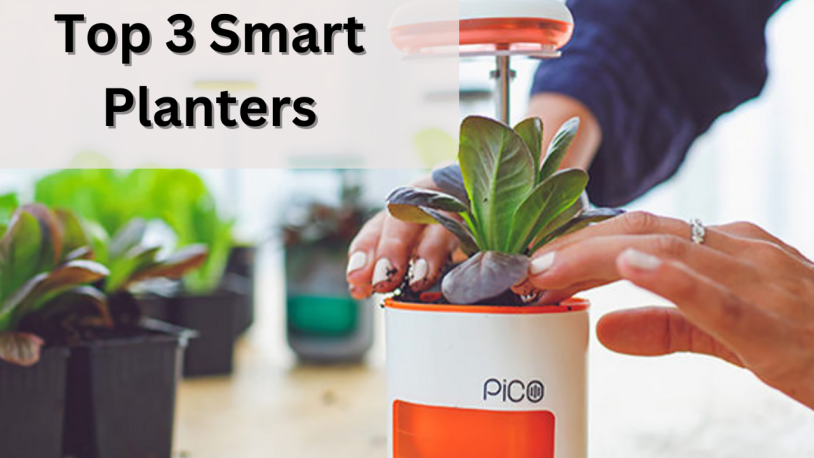 Top 3 Smart Planters. Traditional gardening is being replaced… | by Outlookedd | Medium