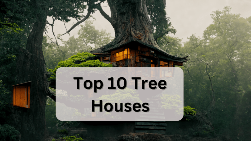Unveiling the Enchanting World of Top 10 Tree Houses | by Universal Hub ...