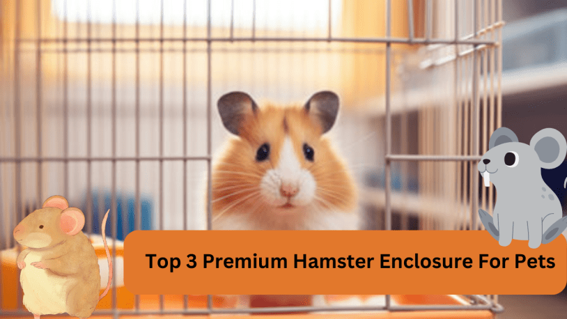 Top 3 Premium Hamster Enclosures for Pets: A Comprehensive Guide | by ...