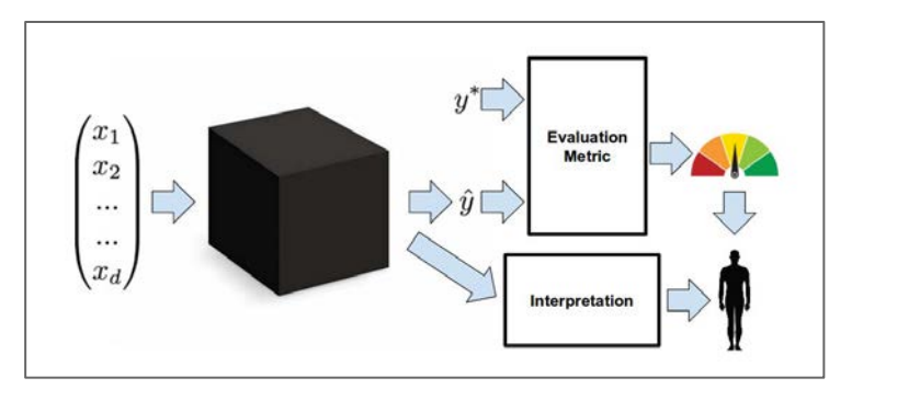 Interpretability in Computer Vision | by Tianyu Yang | Towards NeSy | Medium