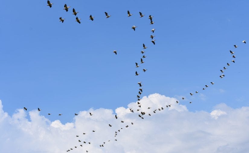 Manifold clustering in the embedding space using UMAP and GMM | by ...