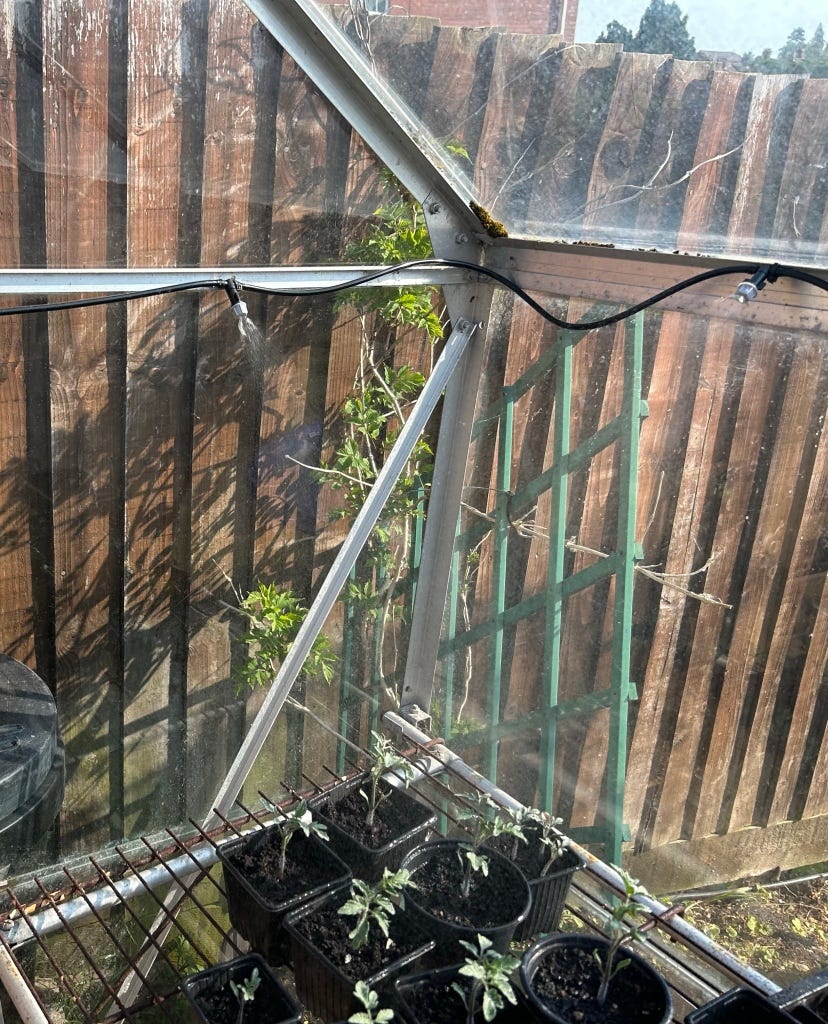 How I Built my DIY Misting System for my Greenhouse | by Odianosen ...