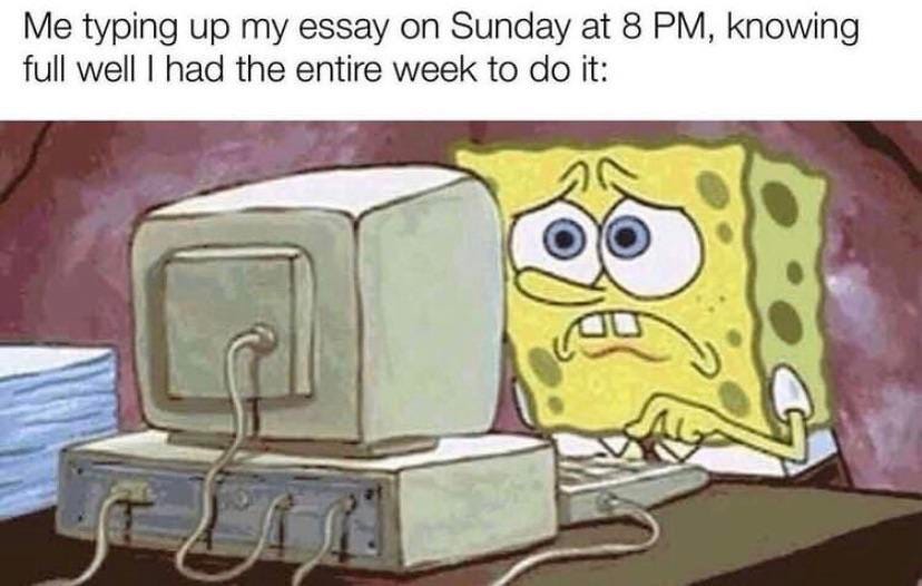 Essay #1 Reflection. I chose this meme because I related to… | by Mary ...