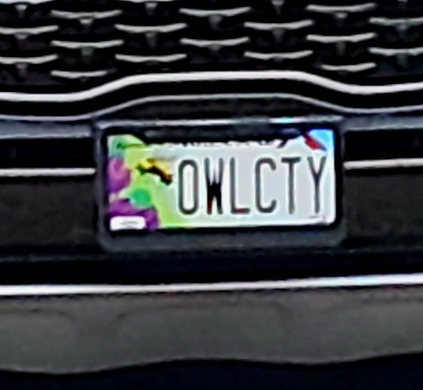 Magical Gifts and Goodies: Too Busy To Notice? | by Debbie Soderberg ...