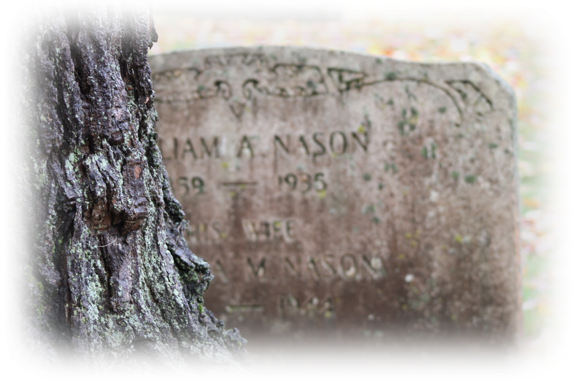 Reincarnation, Rebirth, and Redemption | by Amy Safford | Mythology ...