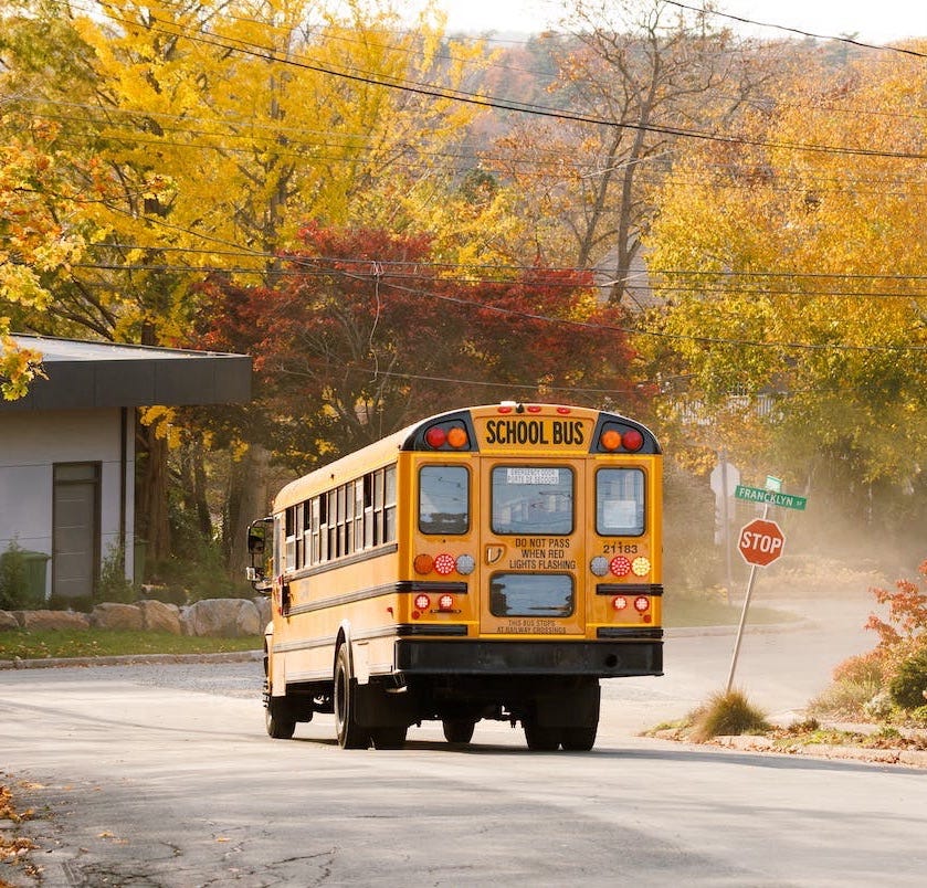 Even More Patient Than a School Bus Driver | by CamDevo | Feb, 2024 ...