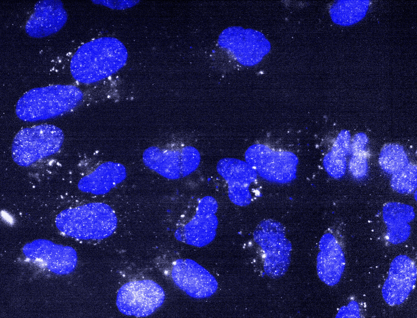 Announcing Our Investment In Eikon Therapeutics — A New Dawn In Drug Discovery | by Dror Berman ...