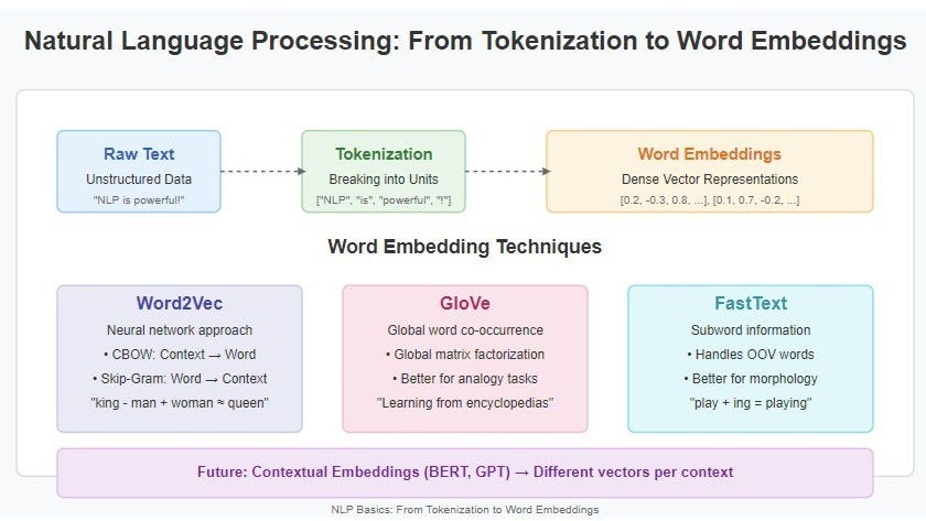 Natural Language Processing Basics: From Tokenization to Word Embeddings | by Amit kharche | May ...