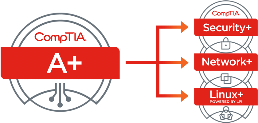 19 Things You Need to Learn to Pass the CompTIA A+ Exam | by Aphinya ...