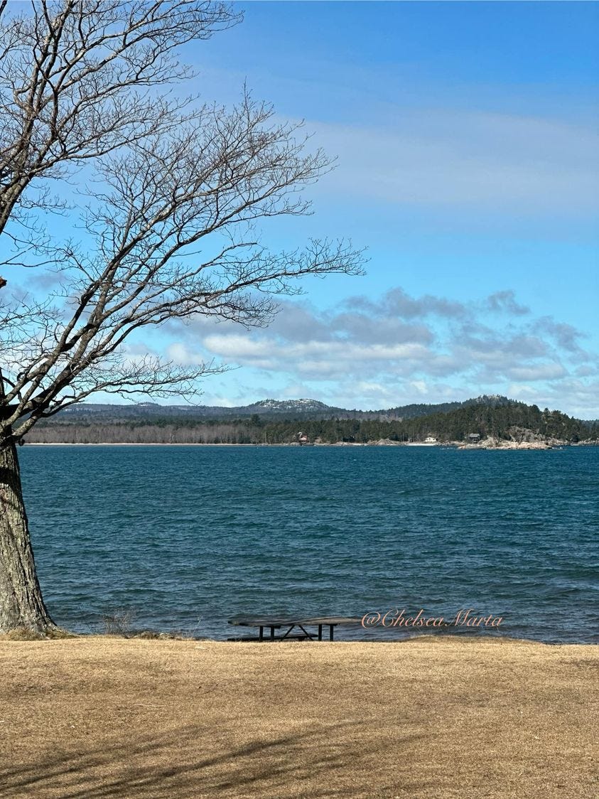 Everybody has that one Spot - The Chaotic Chic - Medium