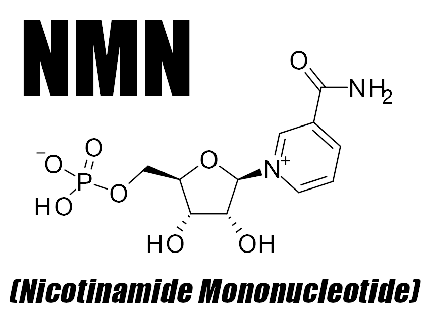 Nicotinamide Mononucleotide: a guide to longevity | Medium