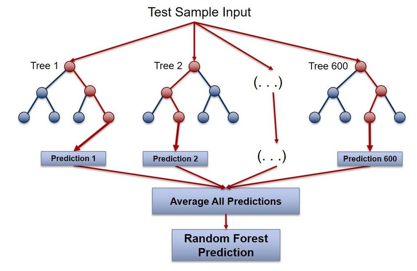 Optimisasi Random Forest untuk Model Prediktif yang Lebih Akurat | by ...
