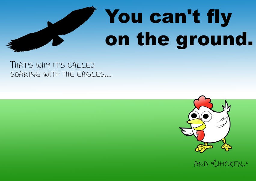 DON’T BE A CHICKEN. DON’T BE A CHICKEN | by Ebenezer Boakye Kodua | Medium