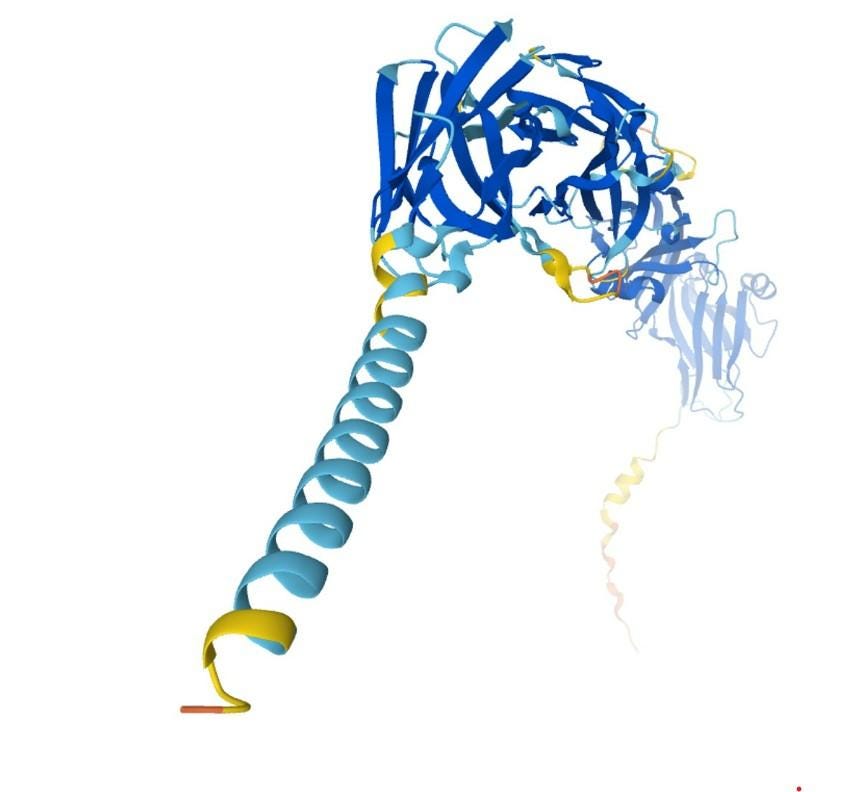 The development of complex peptide generics: analytical and regulatory ...
