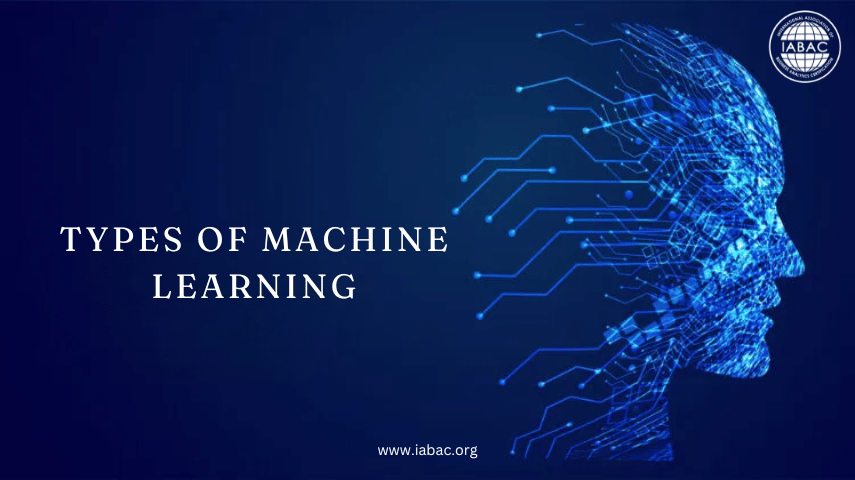 Understanding the Types of Machine Learning | IABAC | by IABAC | Medium