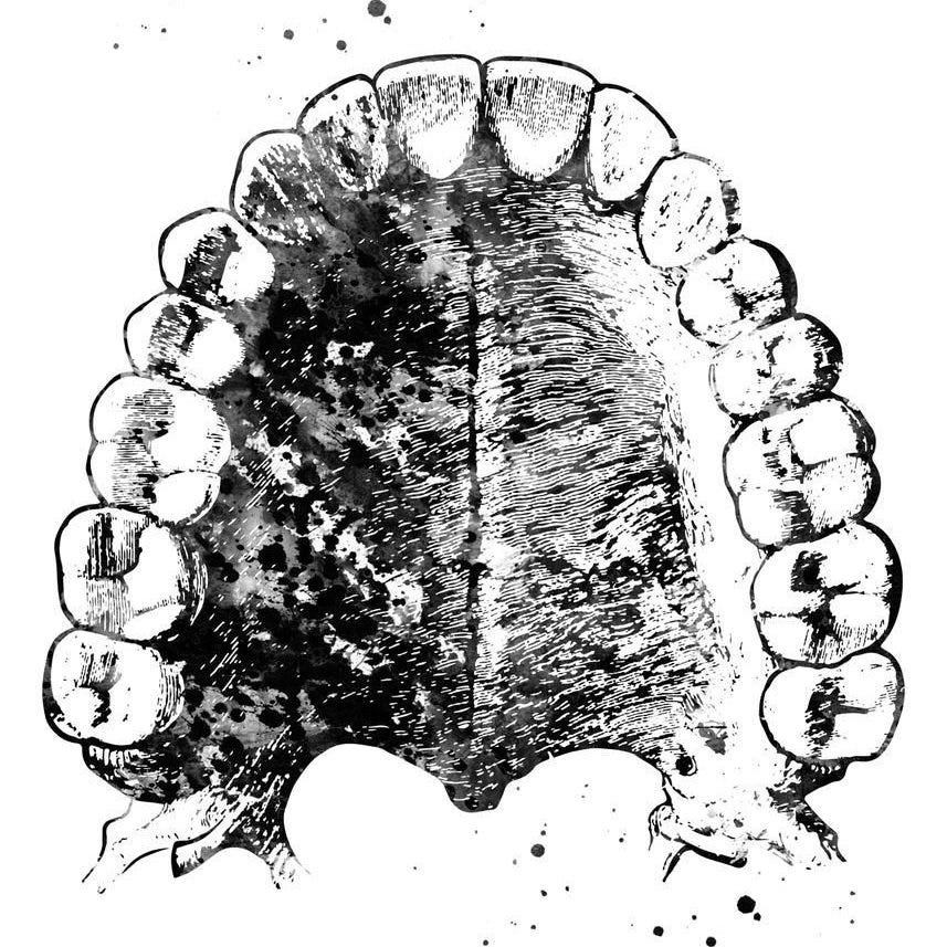 What is NovaMin and Why is it So Great for Tooth Remineralization ...