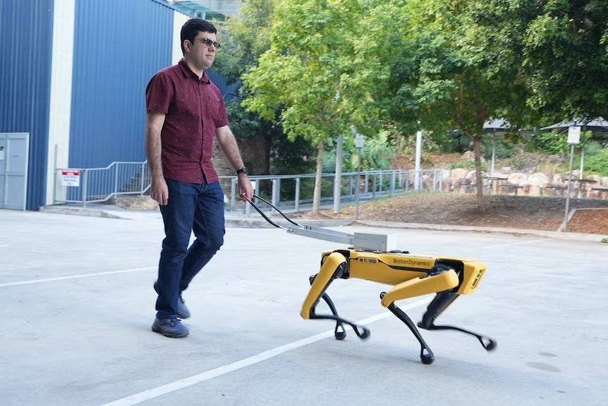 Spot: Pioneering Robotic Assistance for the Visually Impaired | by ...