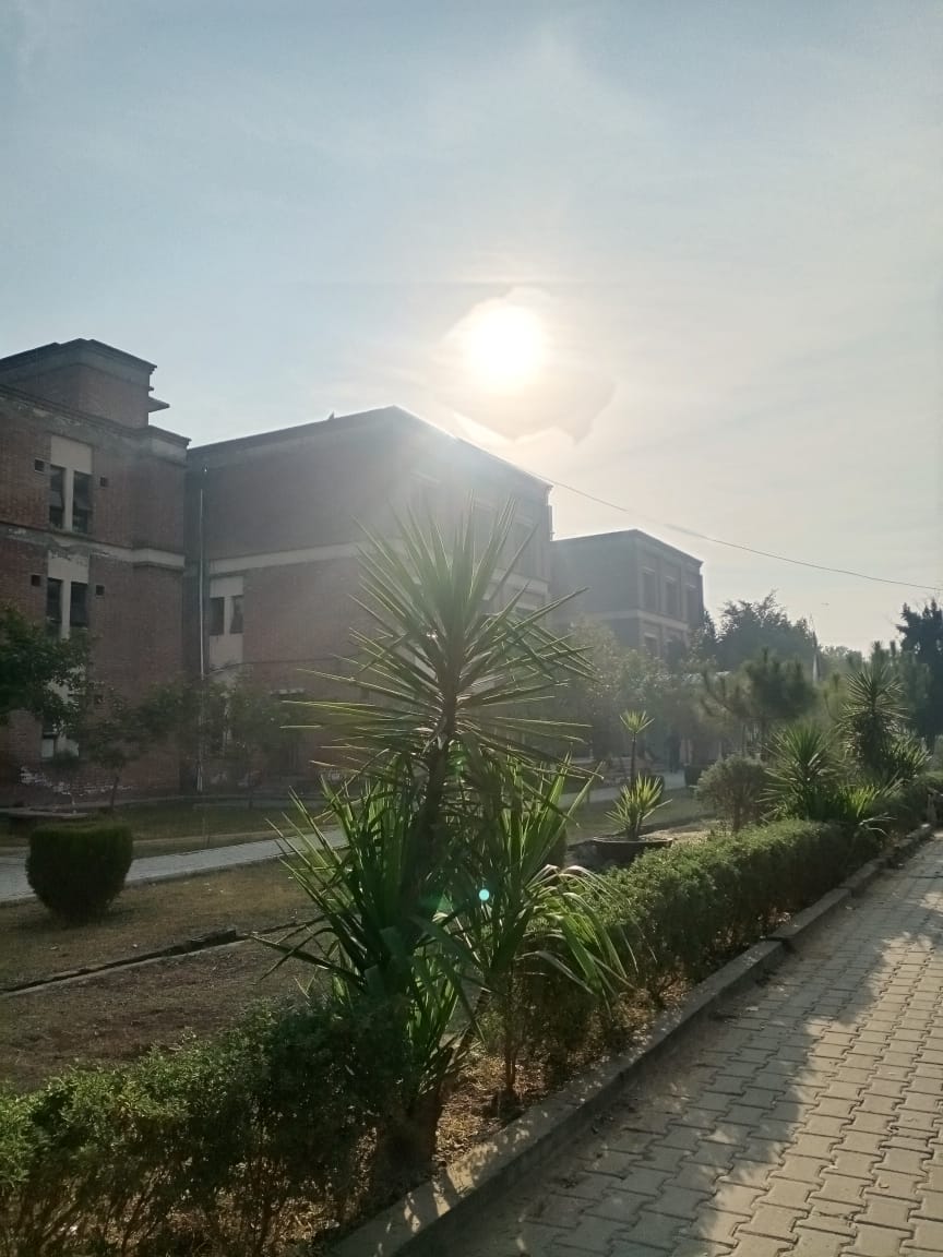 PHOTO JOURNAL. Photo Journal | by Nida_yasmin | Medium