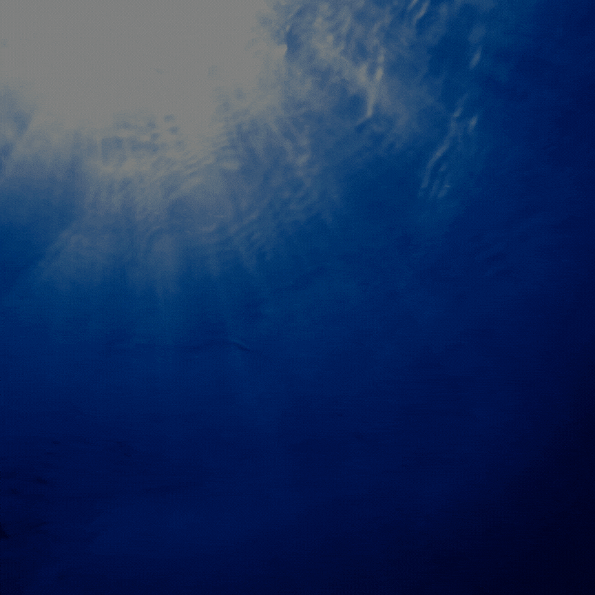 What Makes Scuba Diving In Pondicherry So Popular? | by ...