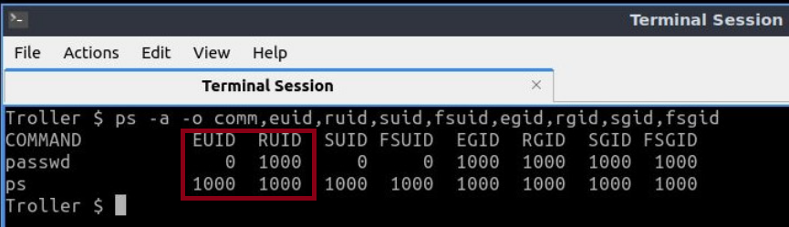 The Linux Security Journey — EUID (Effective User ID) | by Shlomi ...