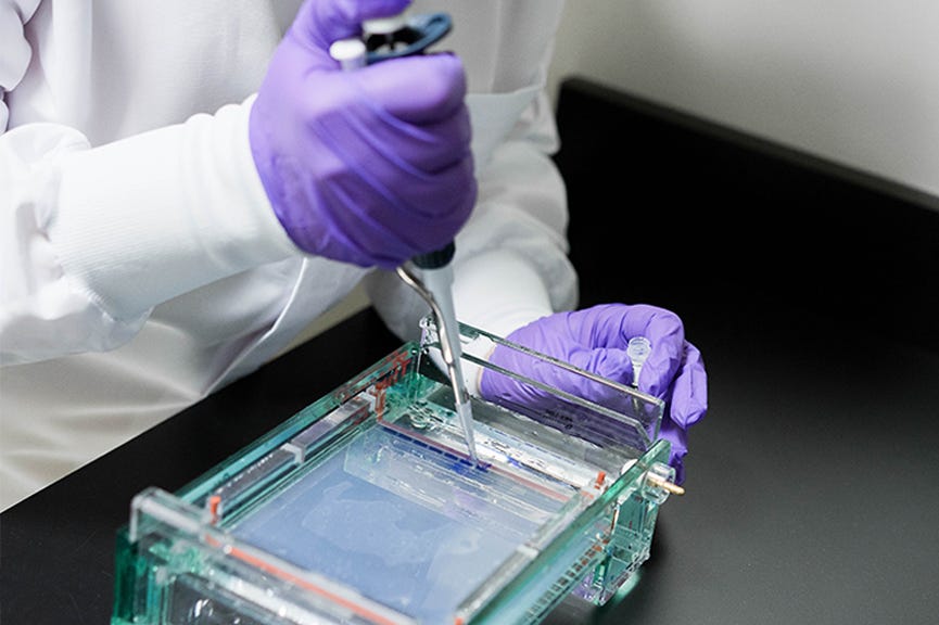 Non Radioactive Nucleic Acid Labeling Product Market Size Trends