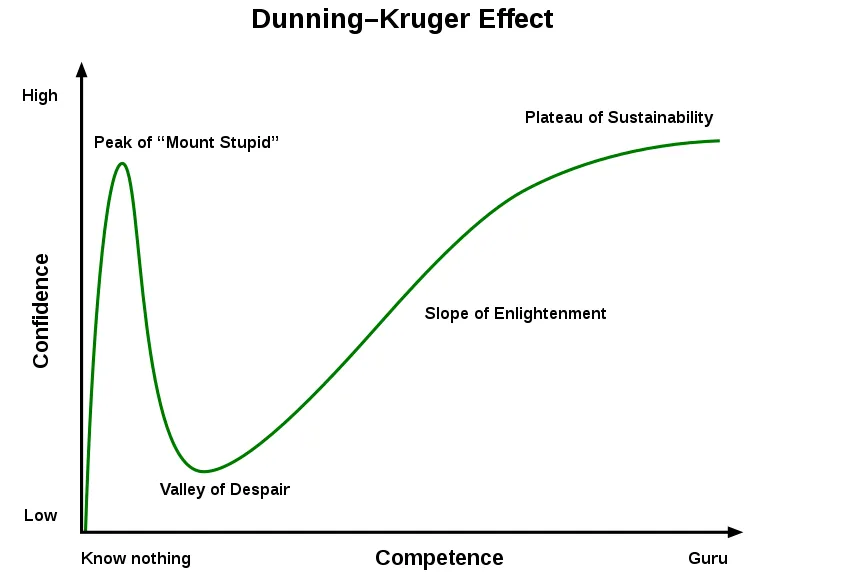 The learning paradox. The hidden power of curiosity and the… | by Pablo ...