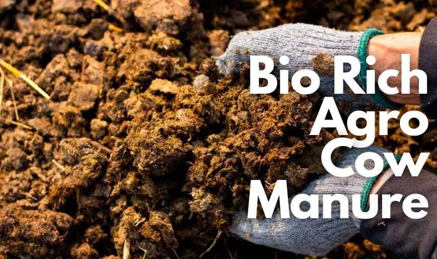 The Unmatched Benefits Of Bio Rich Agro Solutions’ Cow Dung/Manure: Why ...
