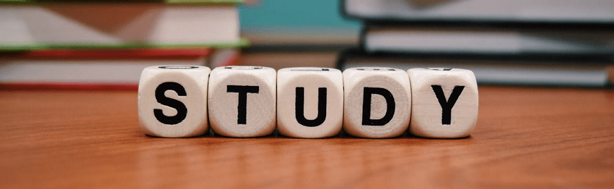 Exam Revision Health Check — Are You Studying Too Much? | by Holly ...