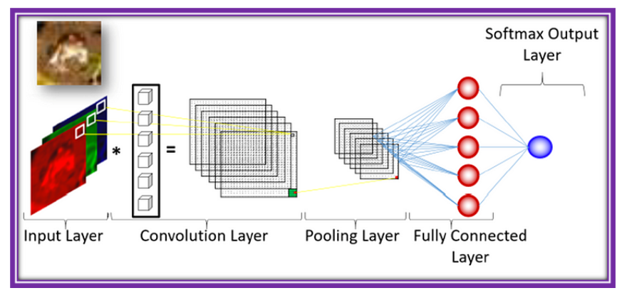 CerboAI’s Guide: Understanding CNN/RNN/GAN/Transformer and Other ...
