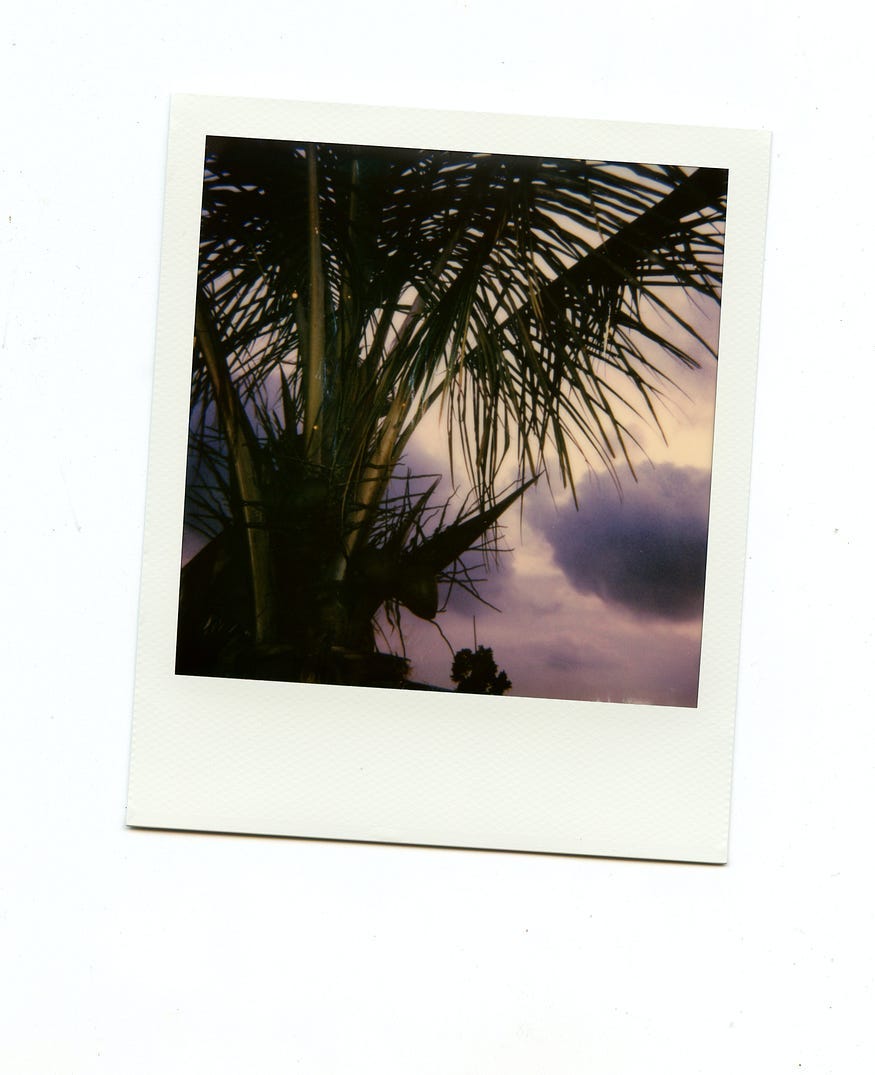 The beauty of instant photography | by Ted S. | Lampshade of ...