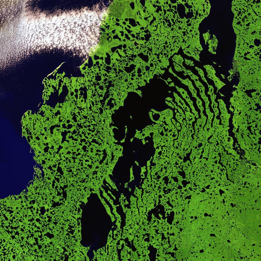 Mapping Wetlands using Multitemporal Landsat and MNDWI | by GeoLearnPro | Medium
