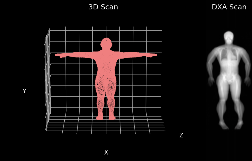 AI Predicts Your Insides From Your Outsides With Pseudo-DXA | by Lambert T Leong, PhD | TDS ...
