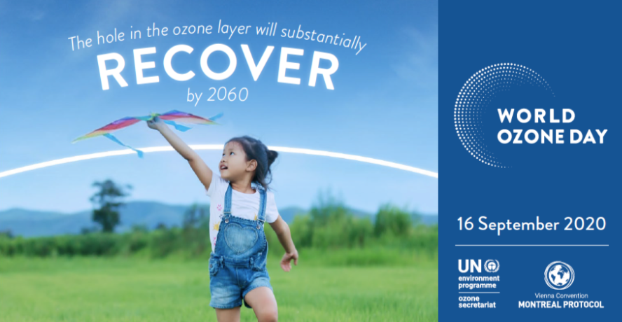 A rare environmental success story and the take away from it. | by ...