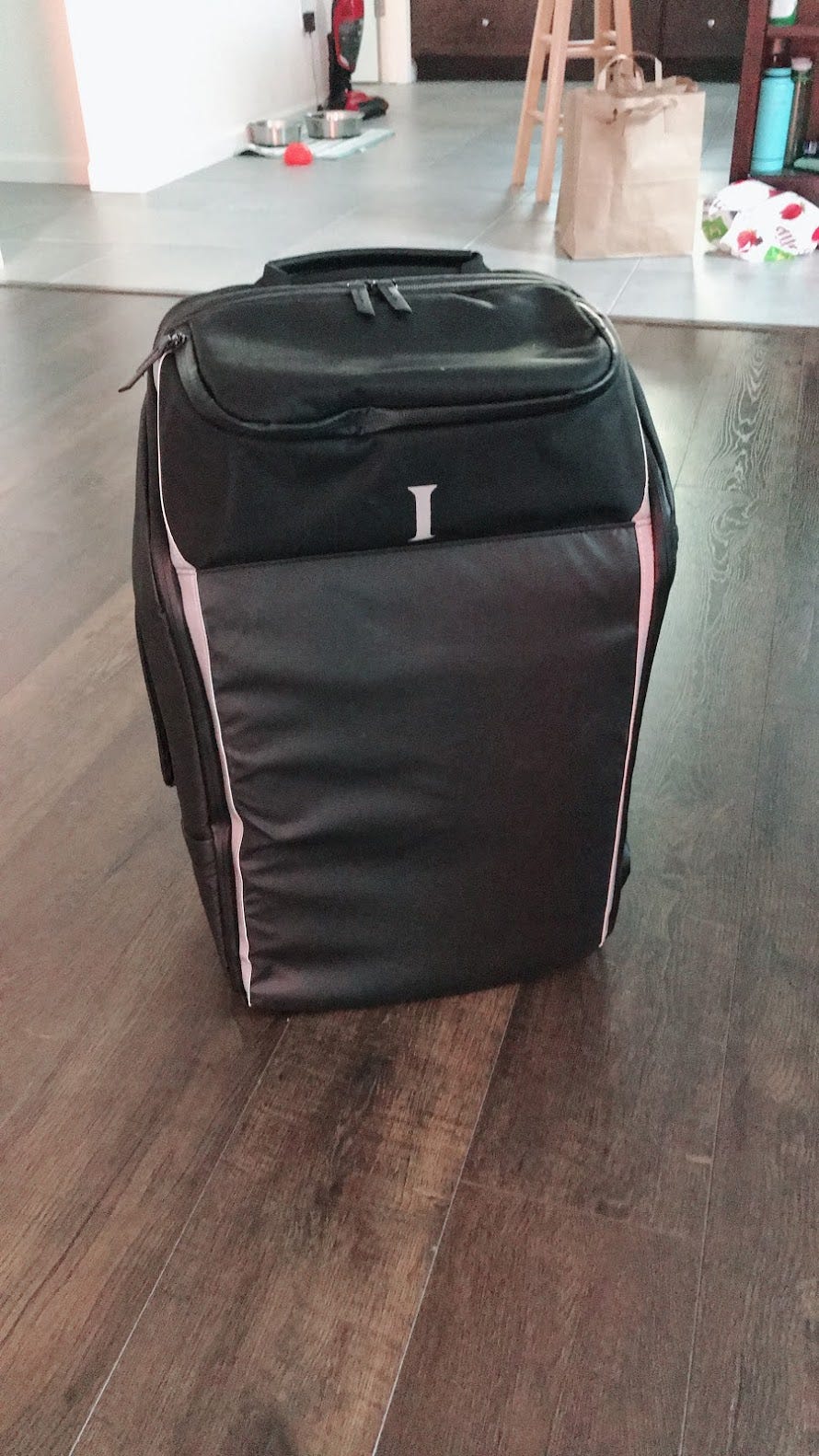 Instinct Backpack Initial Review. A Travel Backpack and Packing System ...