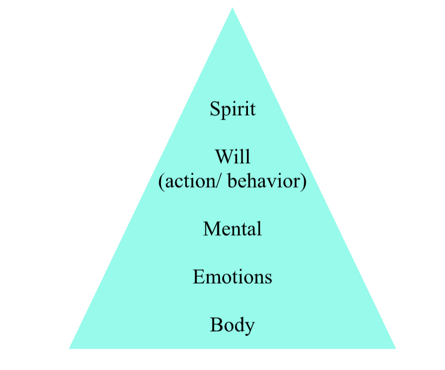 What is Somatic Therapy? A look into Core Energetics | by Marissa ...