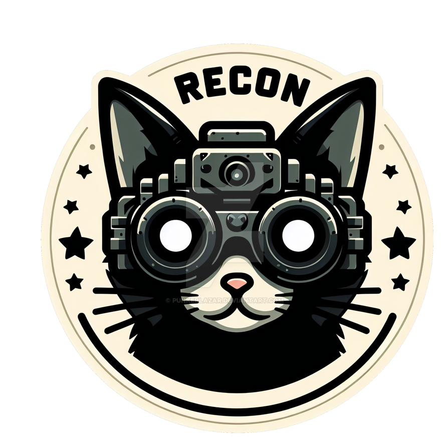 Recon Basics for Beginners: A Simple Guide | by Satyam Pathania ...
