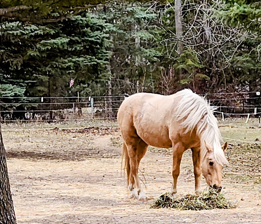 April Gratitude Practice: Living in the Moment. | by Debbie Soderberg ...