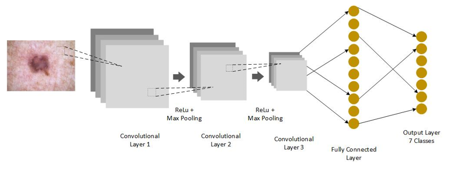 Skin Cancer Detection using different CNN Architectures | by Maitri ...