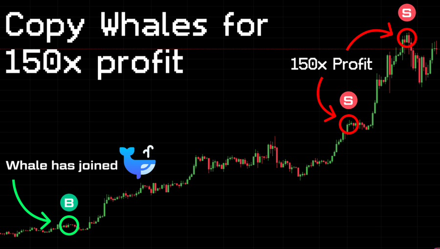 Made Over $100,000 by CopyTrading Meme Coin Whales | by Depin Daily ...