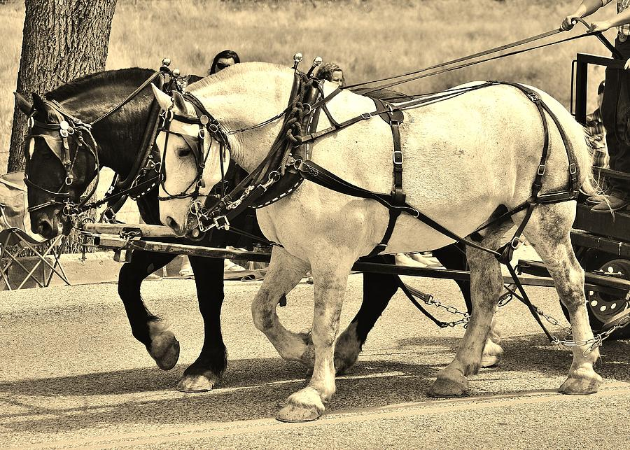 Healing in Relationships: The Power of Being Equally Yoked | by ...